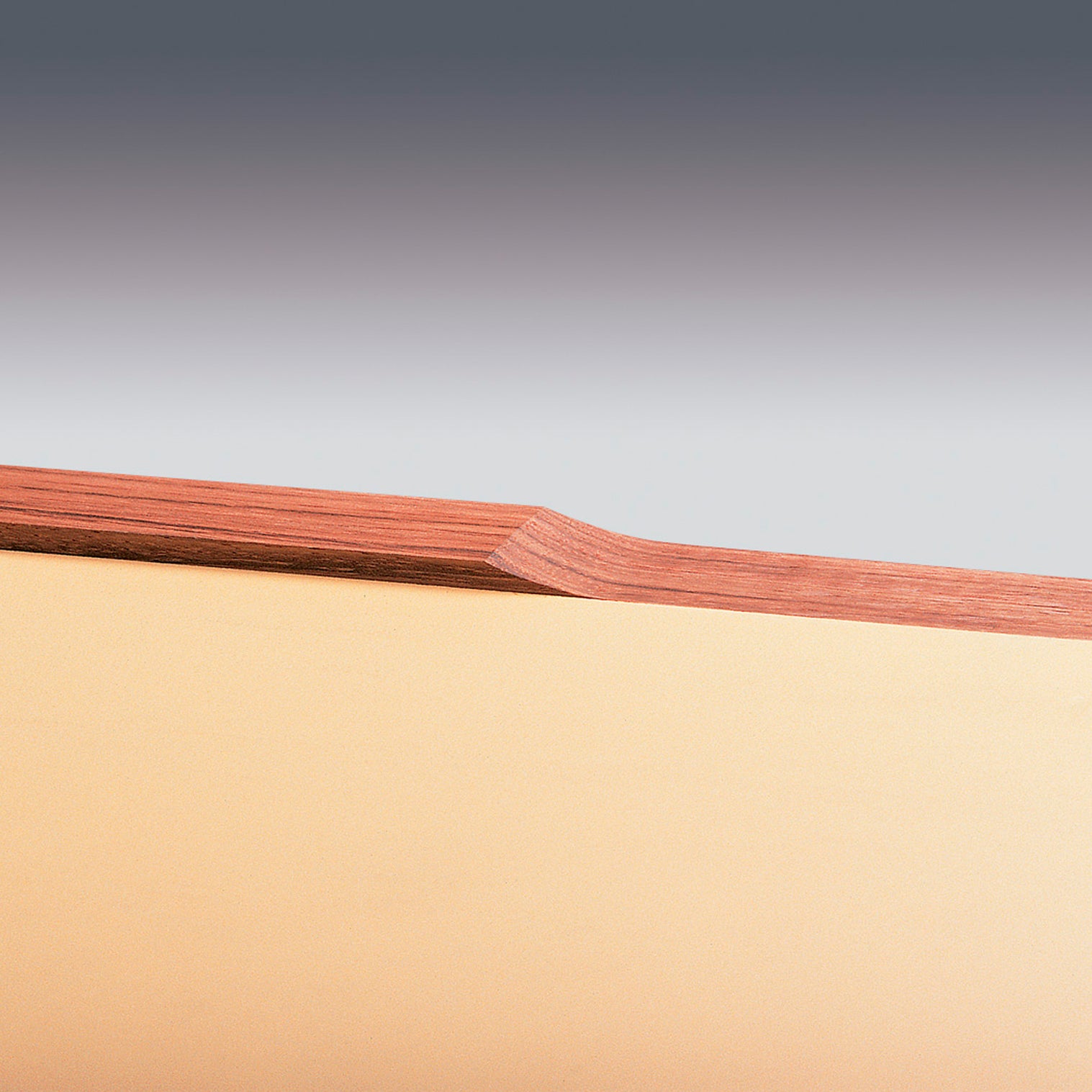 CE53S Edge Lipping Planer for Perfect Flush Edges | Virutex – Virutex ...