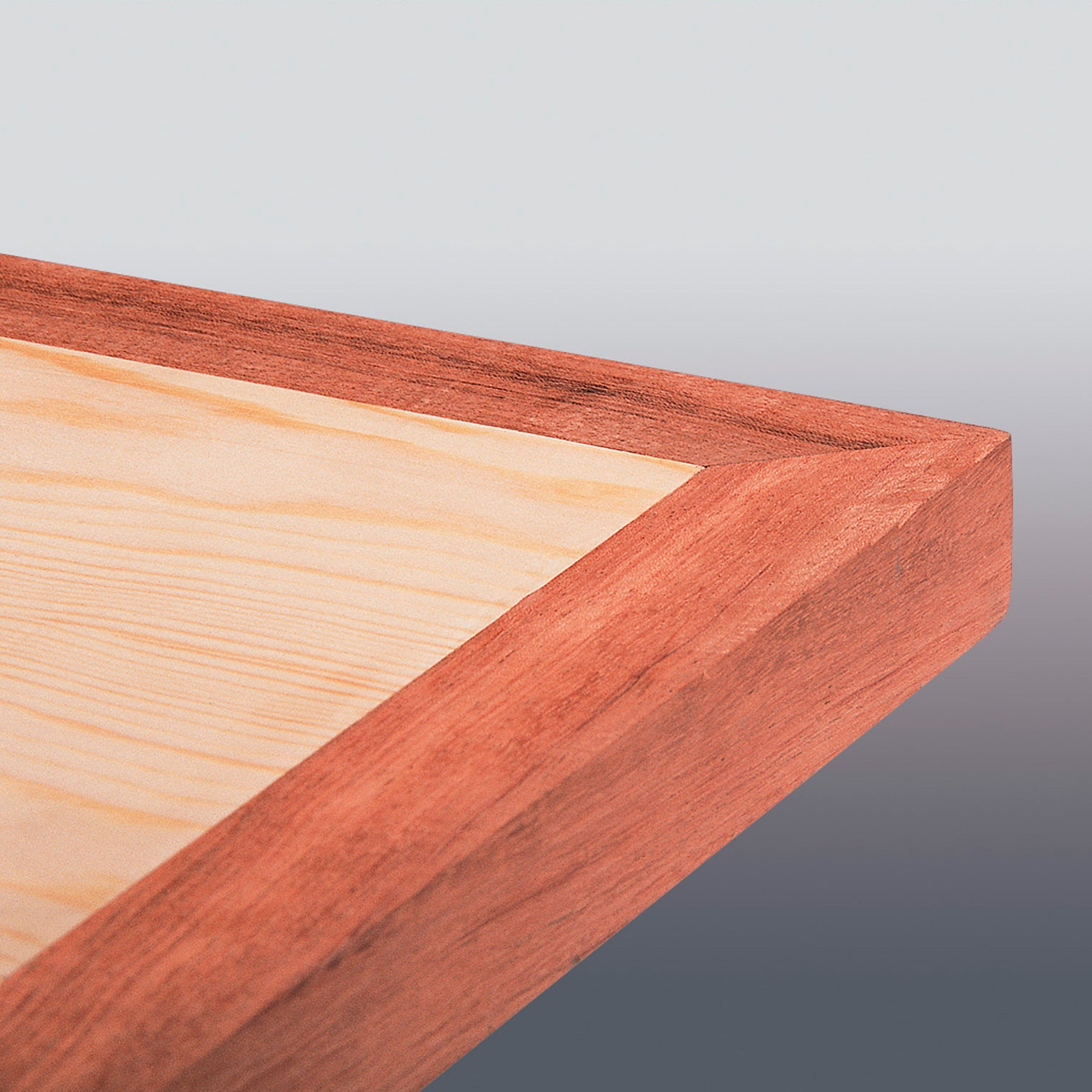 CE53S Edge Lipping Planer for Perfect Flush Edges | Virutex – Virutex ...